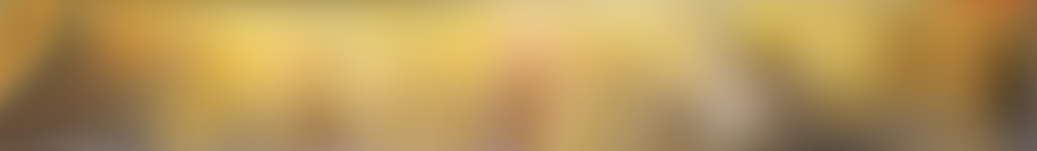 window-only-blur | Glenwood Music